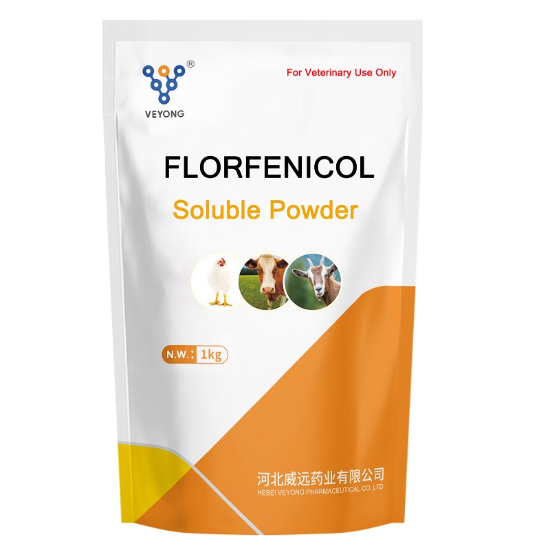 China 10% Florfenicol Soluble Powder for Chickens Manufacture and ...